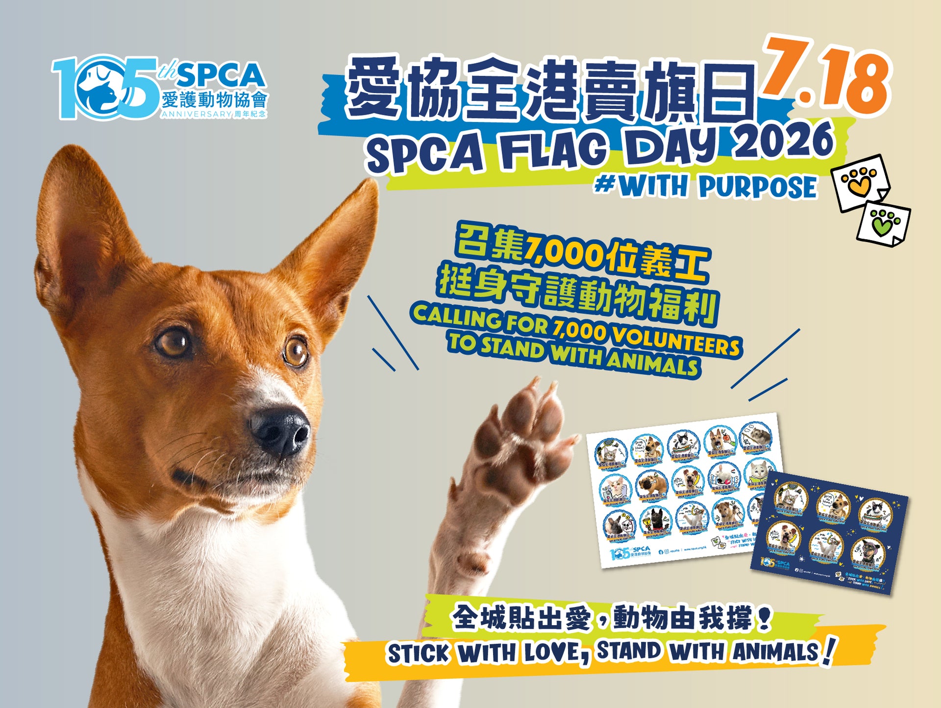 SPCA Online Shop – SPCA HK