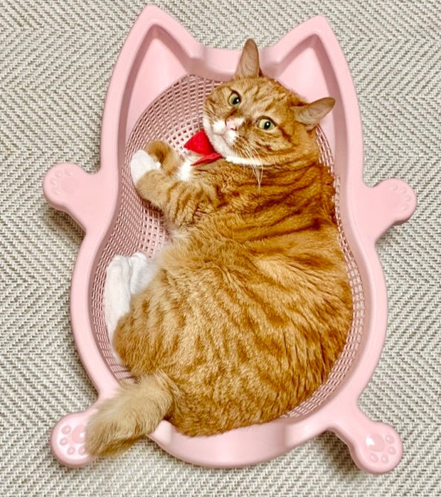 SPCA Online Shop – SPCA HK