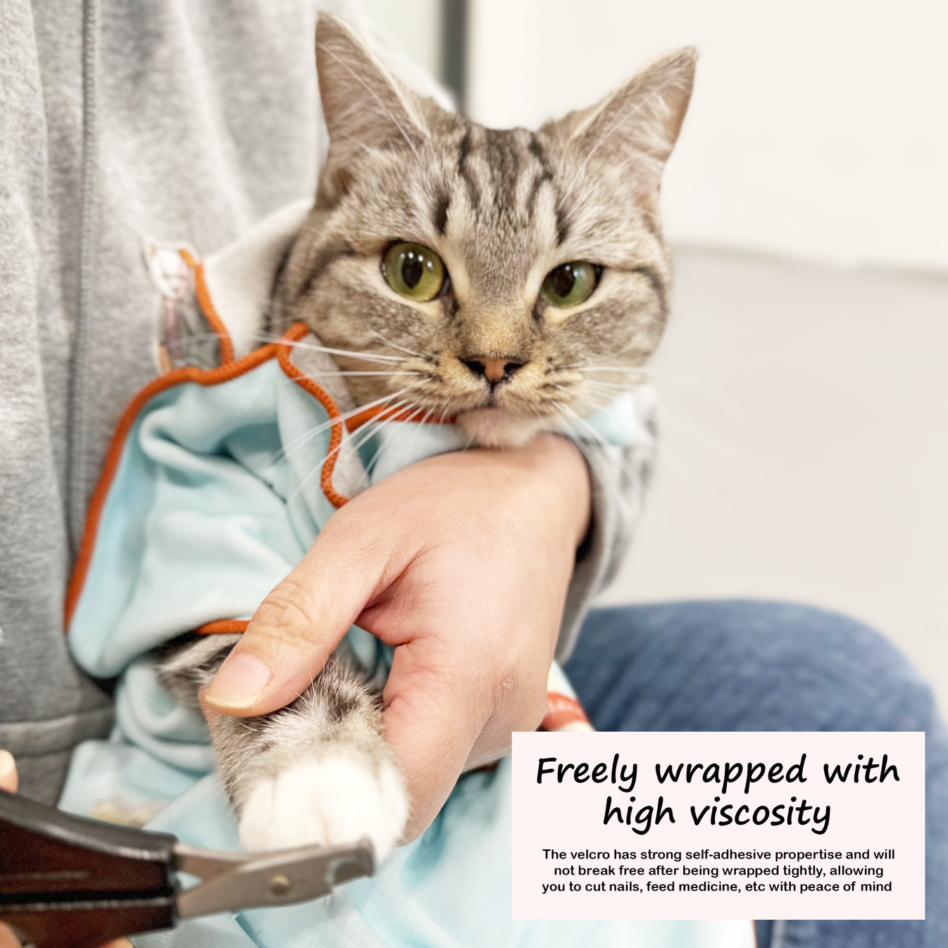 CCCP Magic Wrapper – SPCA HK